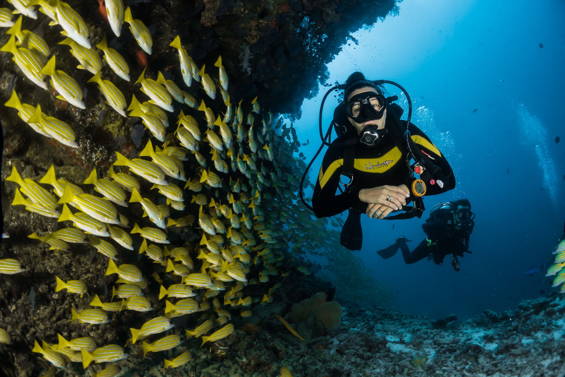 Top 6 Red Sea diving spots in Saudi Arabia - Terhalak